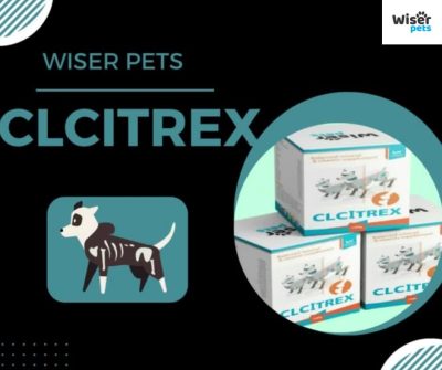 Wiser Calcitrex tab - Pets Home